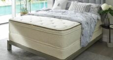 Best bed in the world, find out the most comfortable model in 2023
