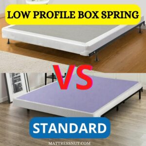 Low profile box spring vs standard, Comparison & Difference (pros & cons)
