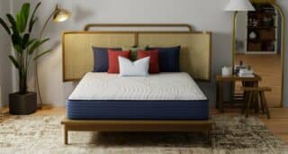 Wolf Mattress Review 2025 - A High-End Collection?