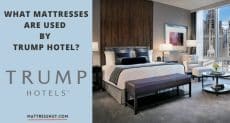Trump Hotel Mattress: What Bed Do They Use + Our Alternative