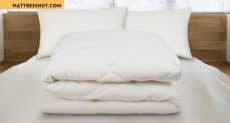 What Goes Inside a Duvet Cover? Fill Options & Recommendations